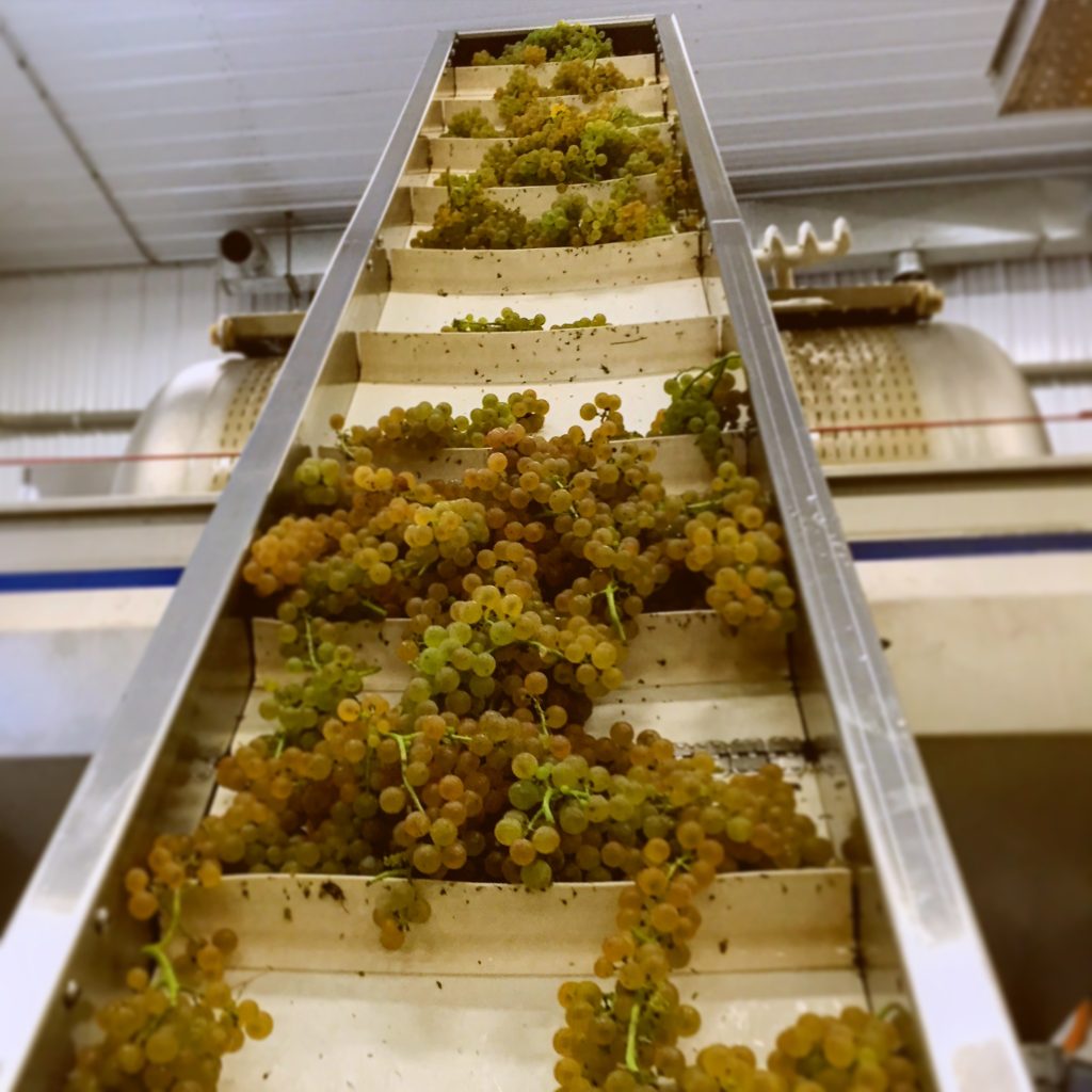 Crow Vineyard & Winery - Maryland Wineries Association